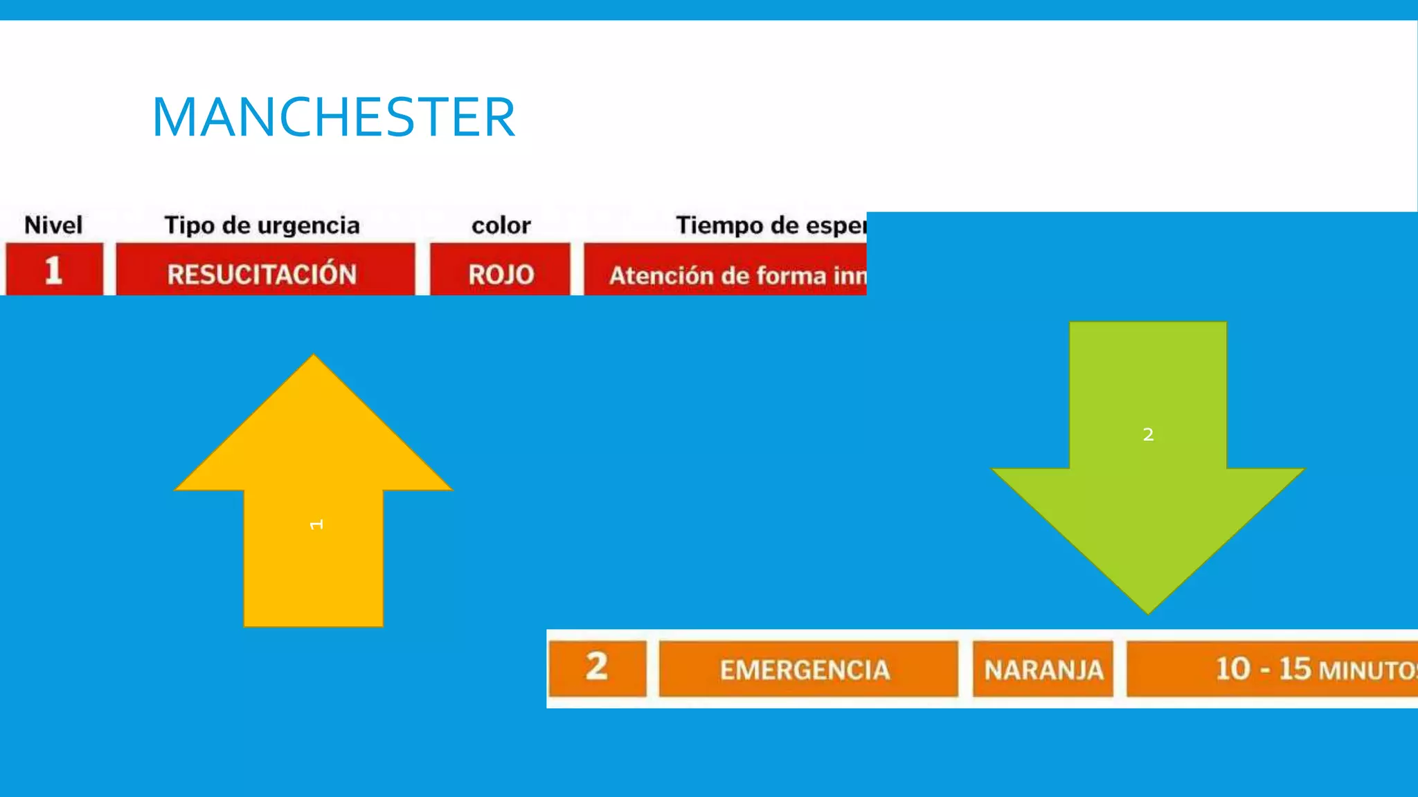 TRIAGE MANCHESTER mod.pptx