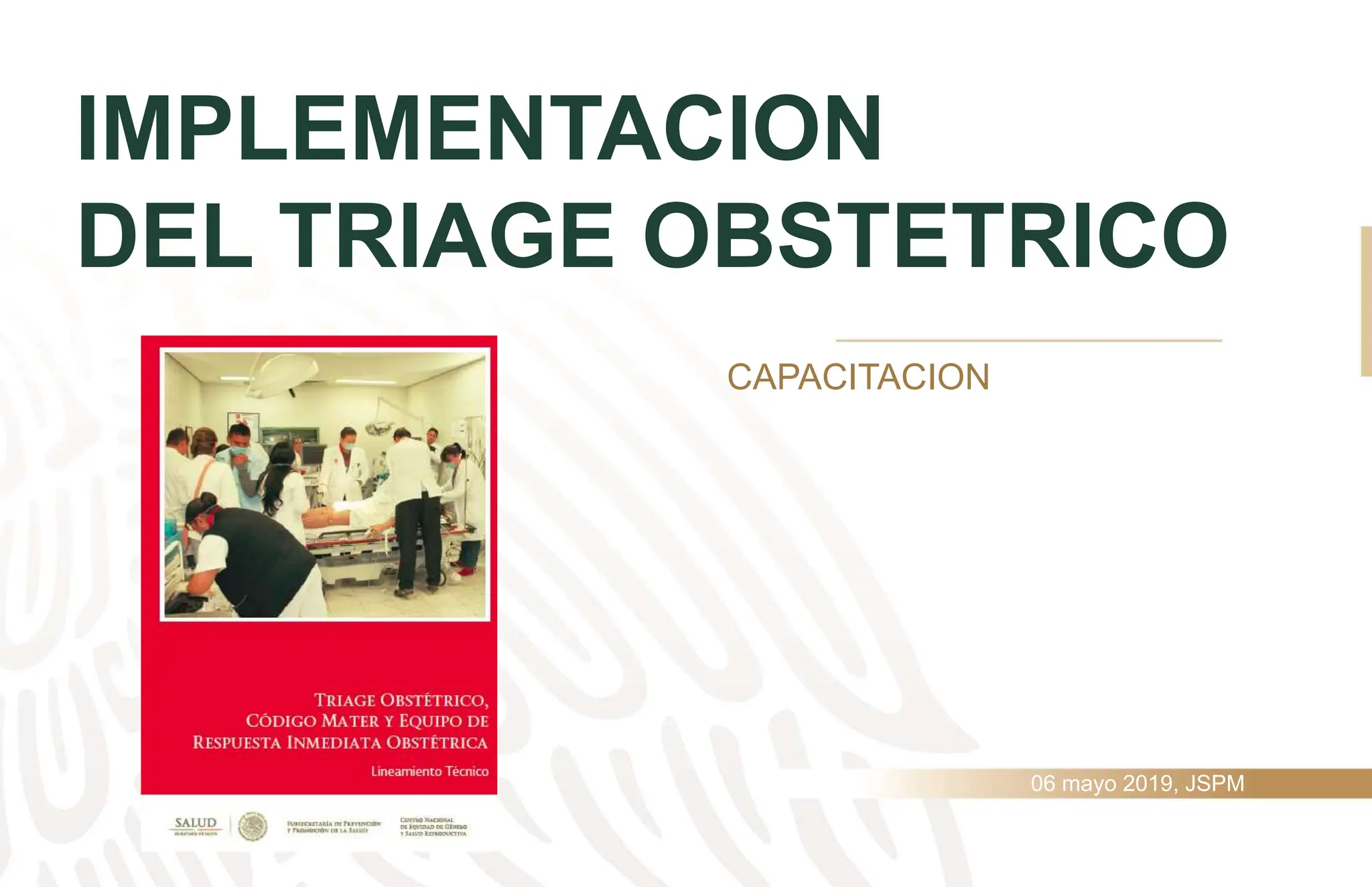 LINEAMIENTO TECNICO CODIGO MATER DURANTE LA ATENCION DE ENFERMERIA ANTE ...