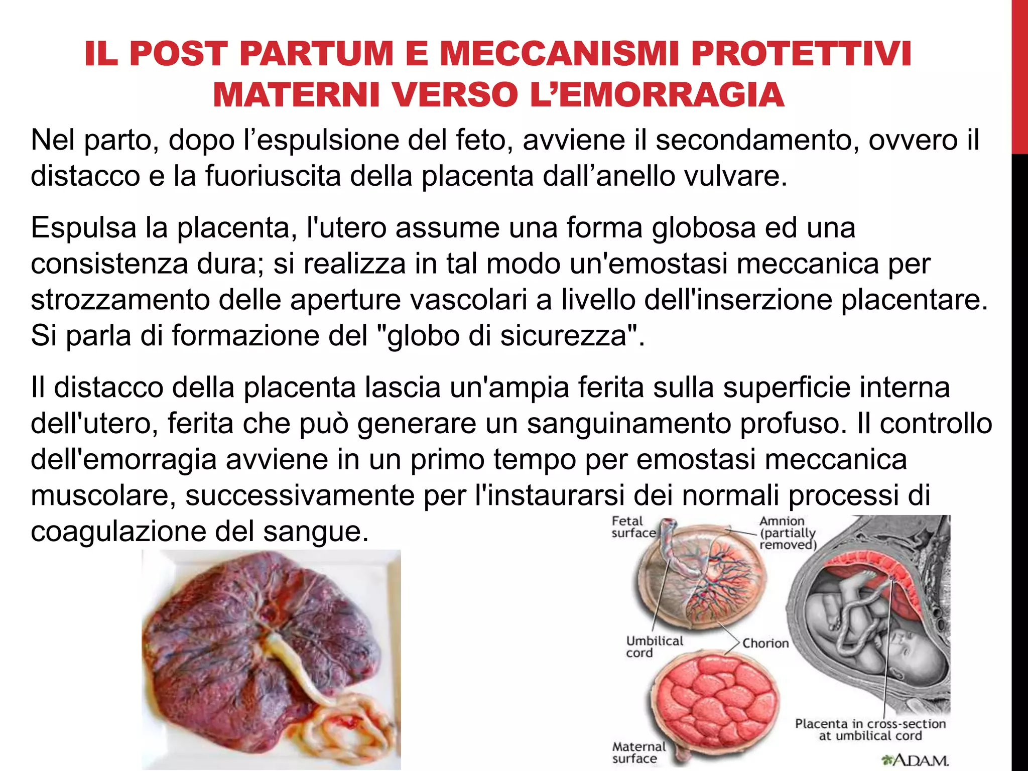 Triage ostetrico ed emorragia peripartum | PPTX