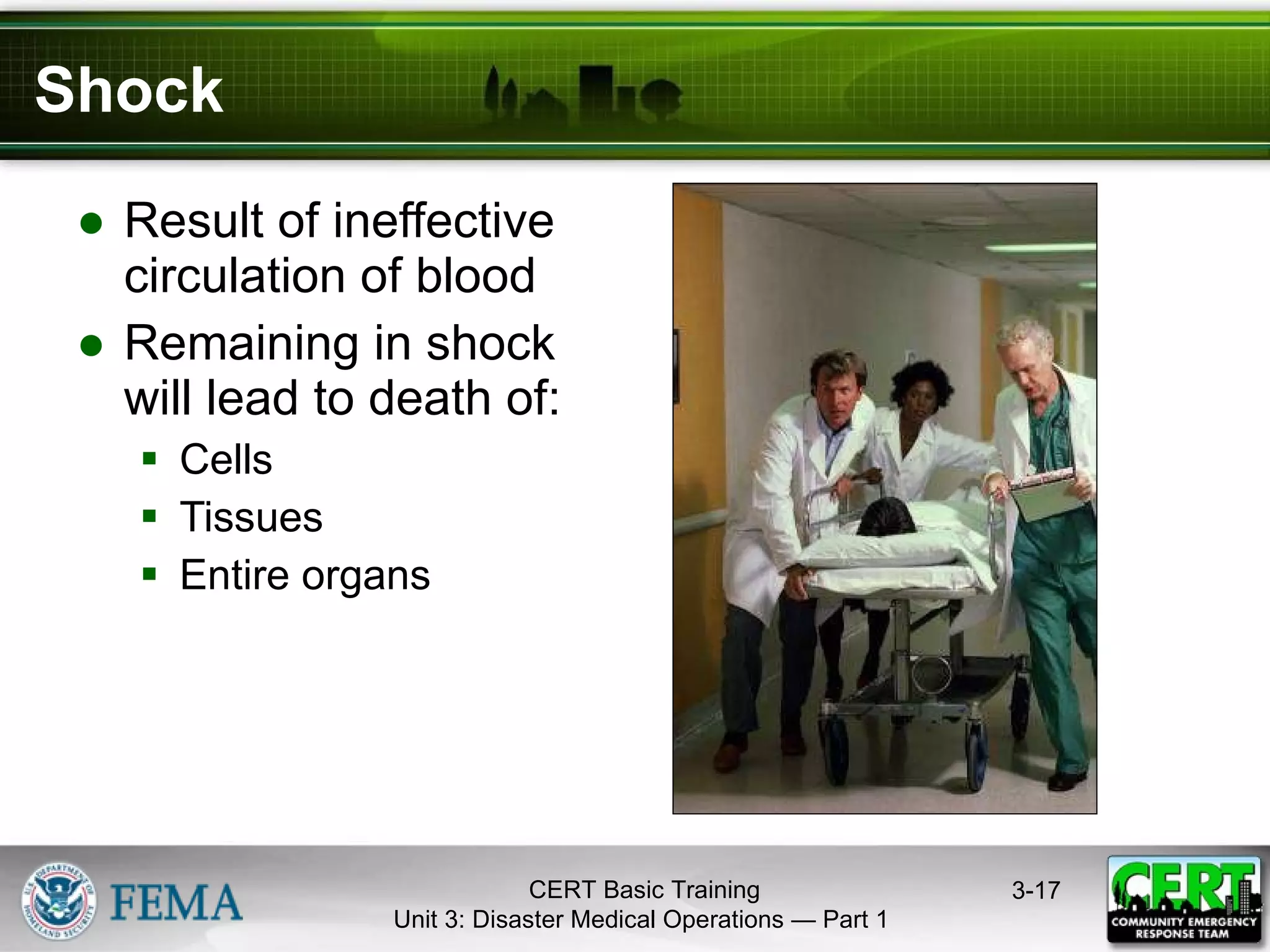 Triage powerpoint | PPT