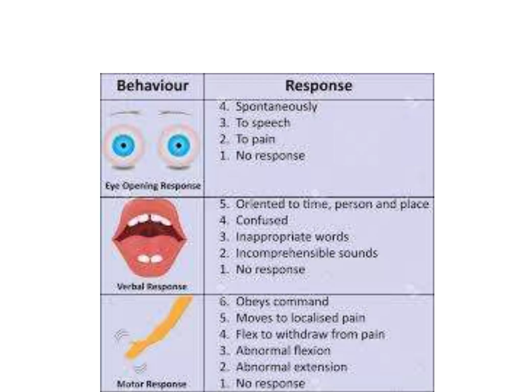 Triage primary & secondary survey | PPTX