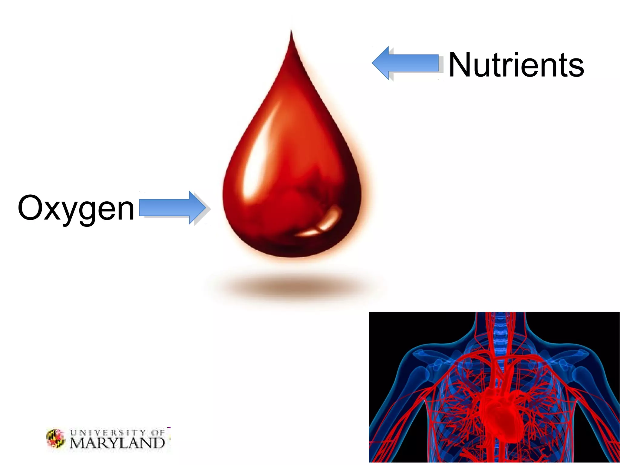 Understanding the Heart Triage | PPT