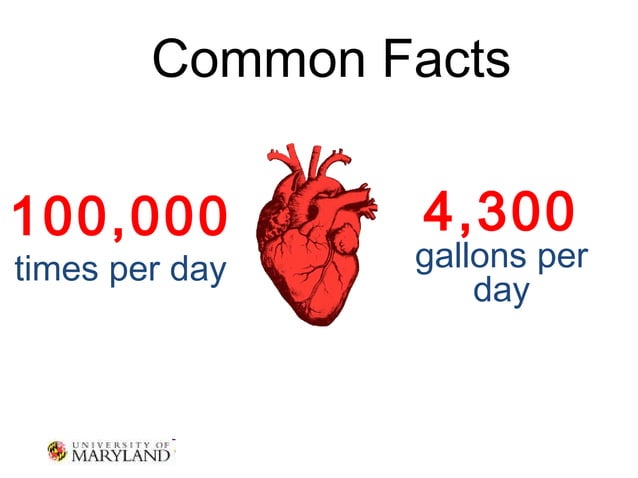 Understanding the Heart Triage | PPT