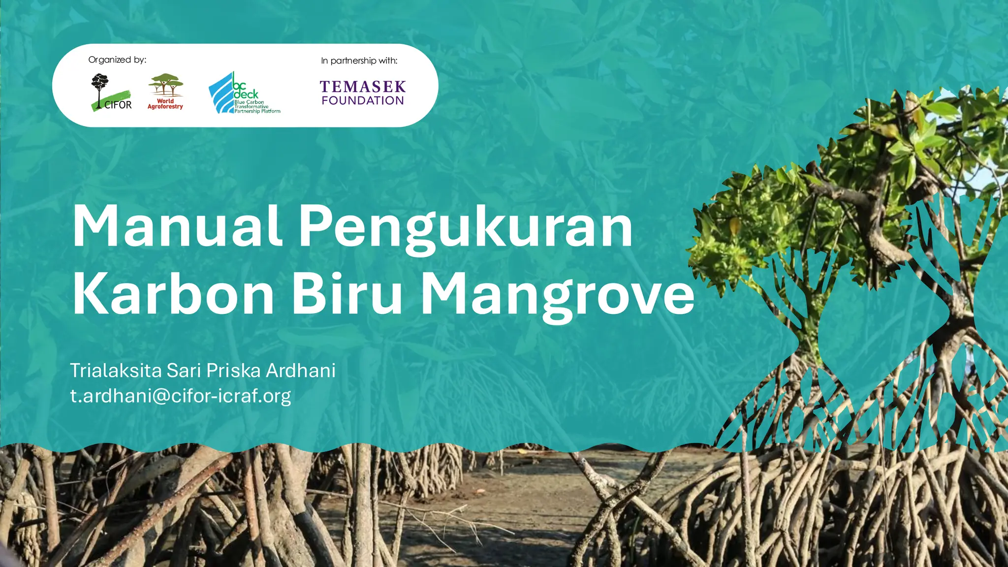 Manual Pengukuran Karbon Biru Mangrove | PDF