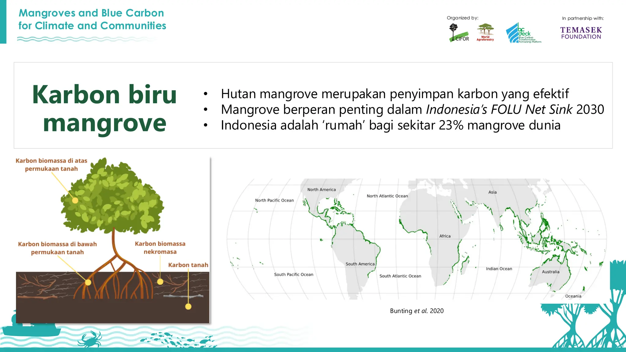 Manual Pengukuran Karbon Biru Mangrove | PDF