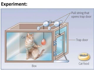 Trial and error learning theory | PPTX