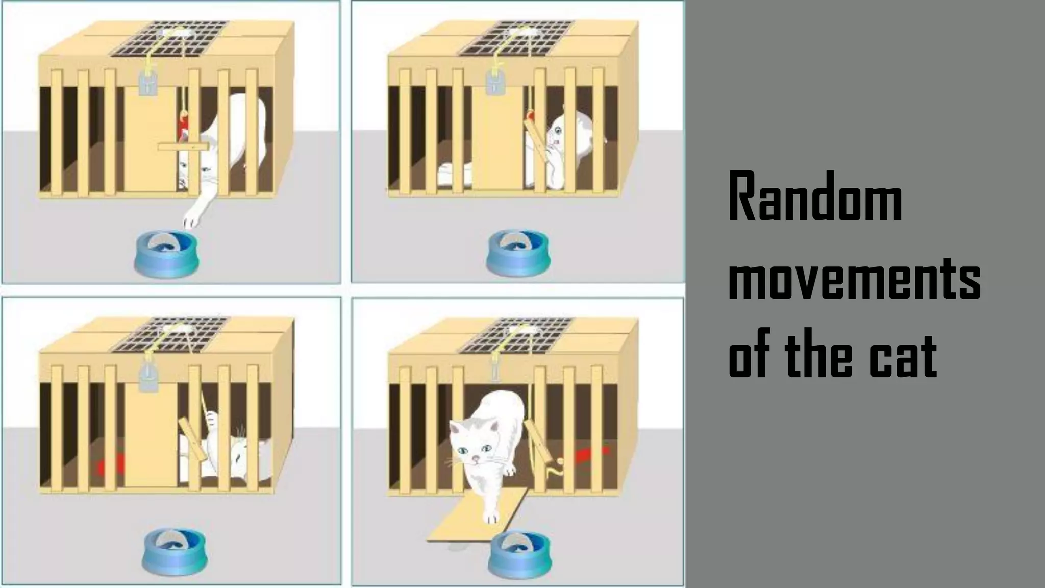 Trial and error learning theory | PDF