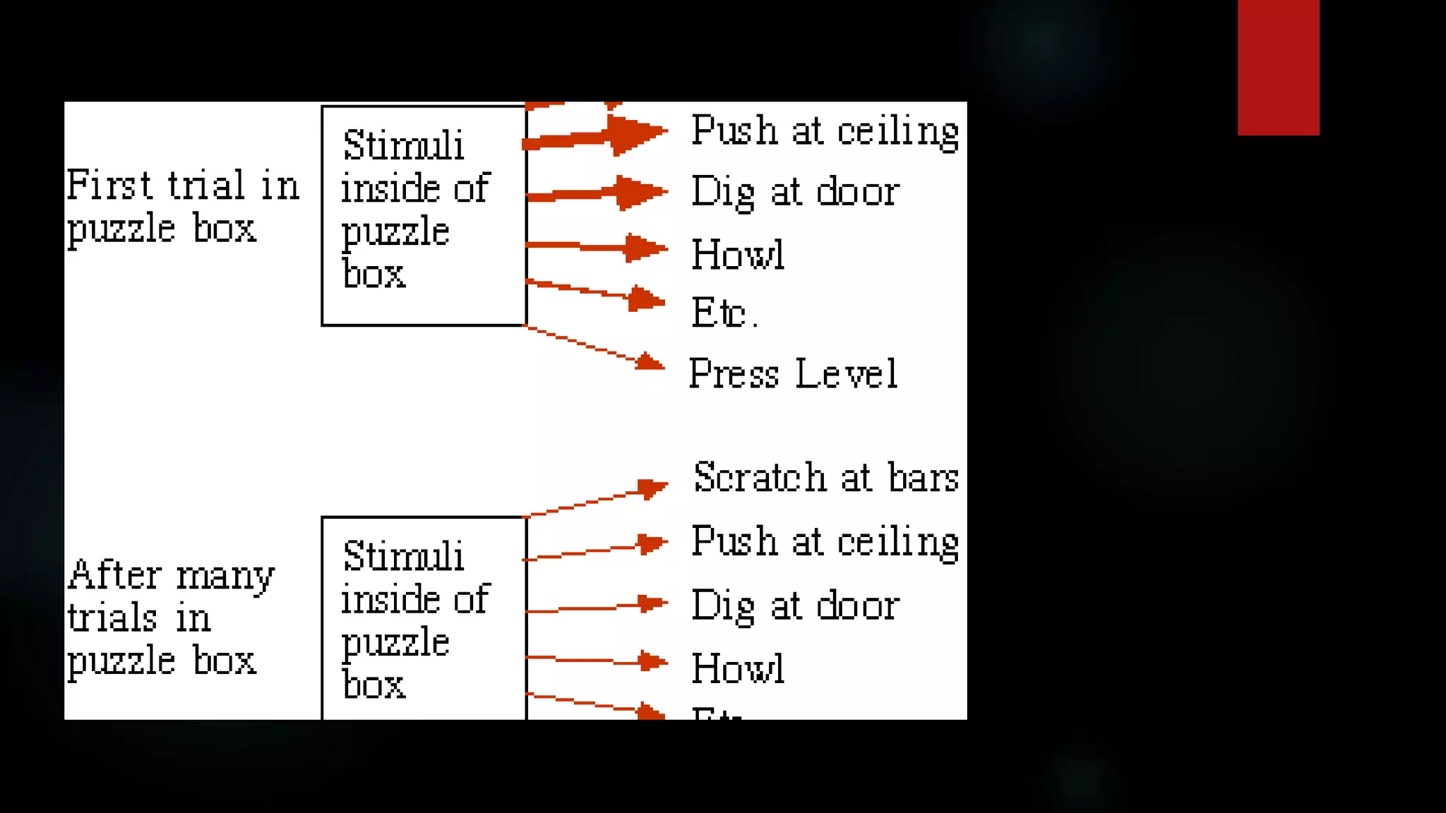 Thorndike's Trial and Error Learning Theory | PPTX