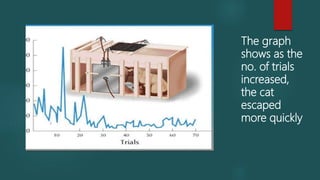 Thorndike's Trial and Error Learning Theory | PPTX