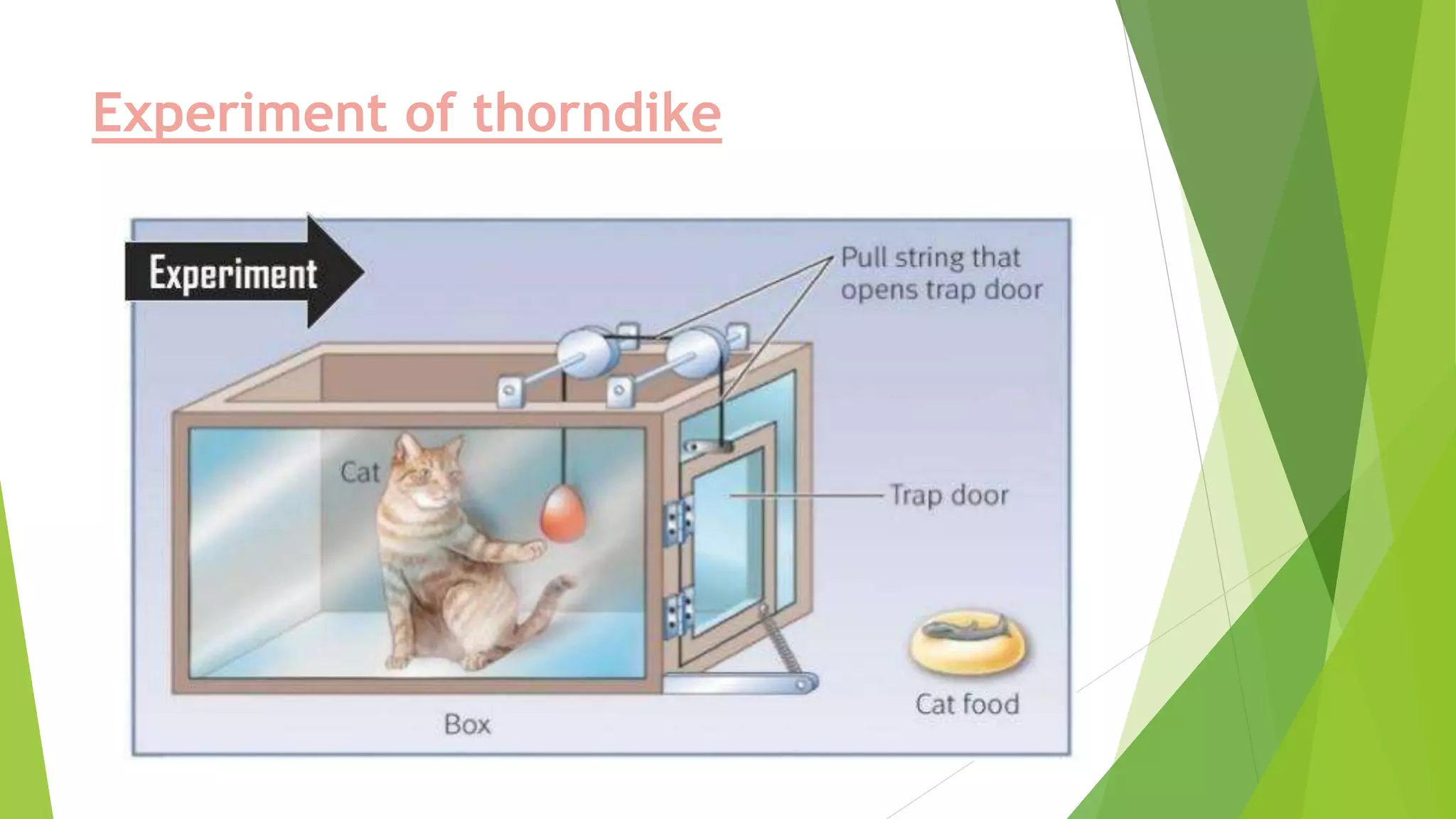 trial and error theory el thorndike. presentation prepare by kanhaiya ...