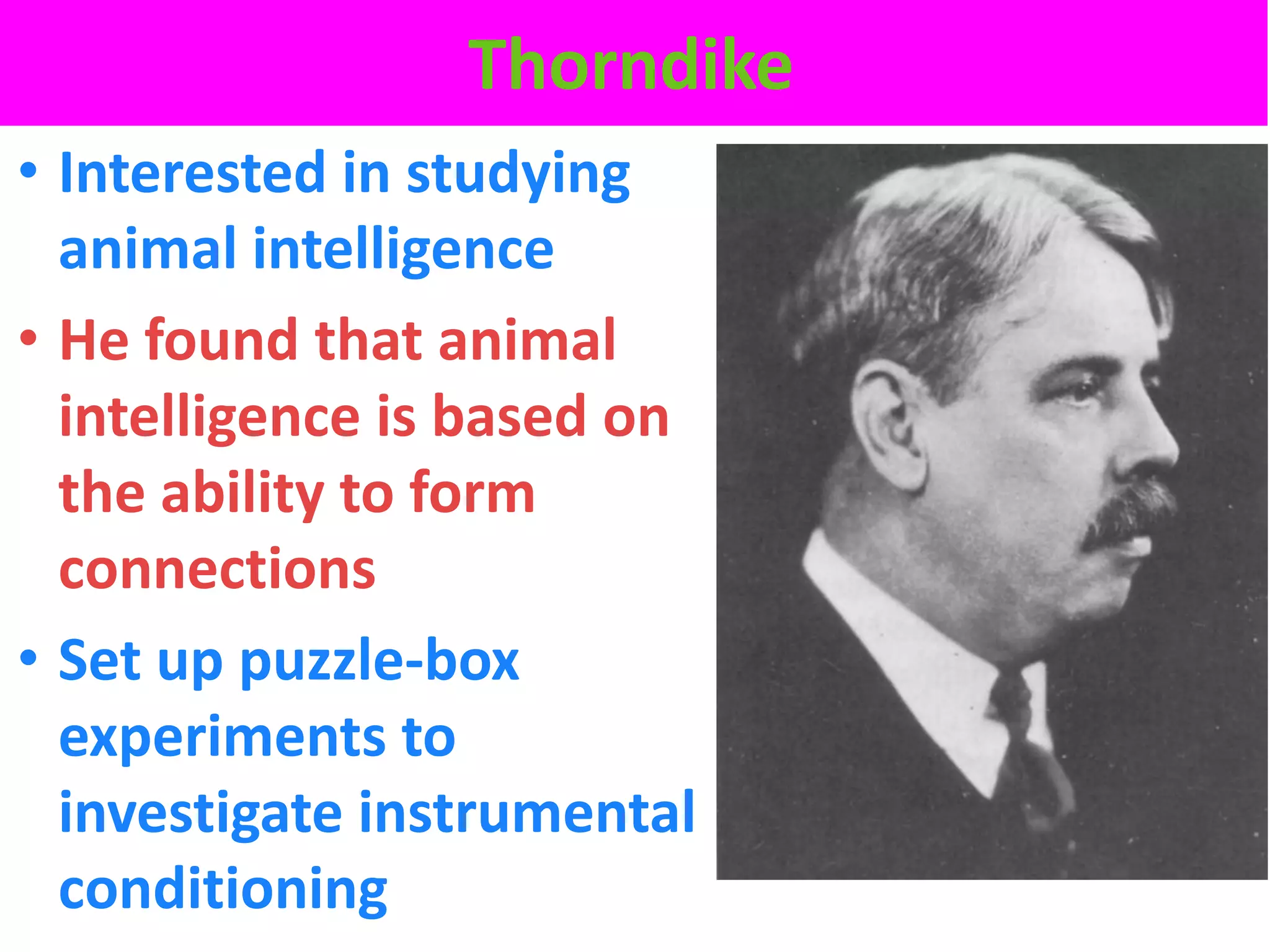 Trial & error learning Thorndike - VCE U4 Psych | PPTX