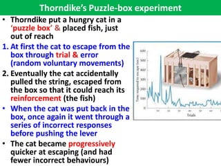 Trial & error learning Thorndike - VCE U4 Psych | PPTX