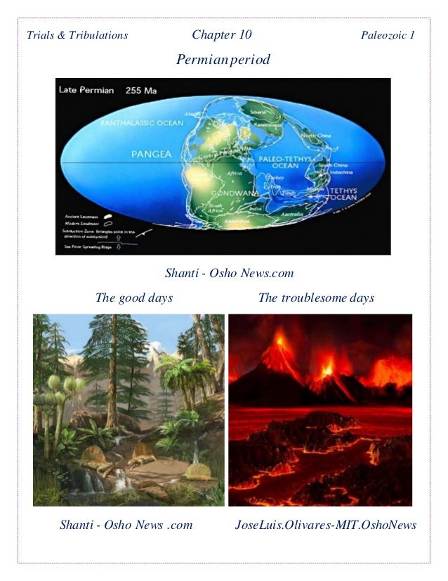 Permian Period Plants