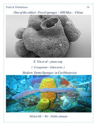 Trials and Tribulations Chapter 3 - Cryogenian period | PDF