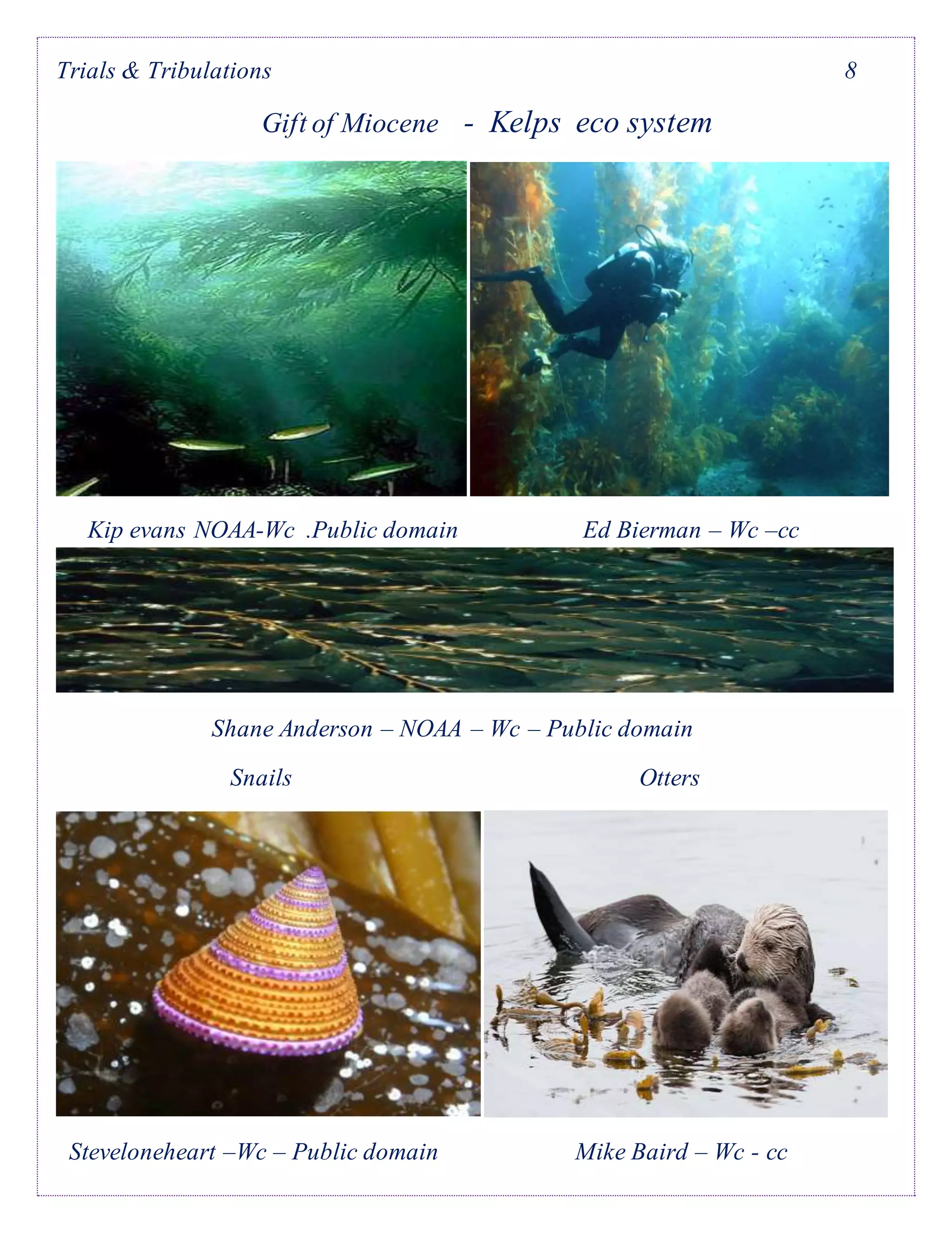 Trials and Tribulations Chapter 16.1 miocene epoch neogene period | DOCX