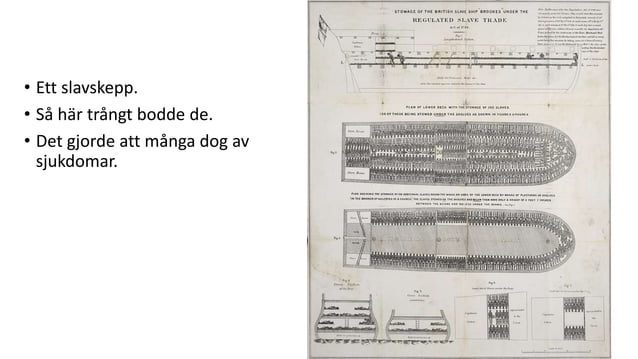 Triangelhandel | PPTX