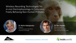 Wireless Recording Technologies for in vivo Electrophysiology in ...