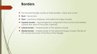 triangle MIT /lower limb/ lower limb posterior | PPTX