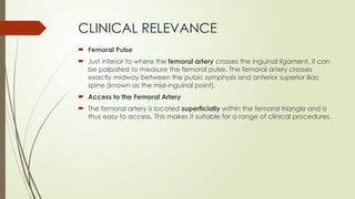 triangle MIT /lower limb/ lower limb posterior | PPTX