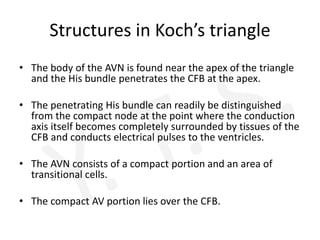 Triangle of koch | PPTX