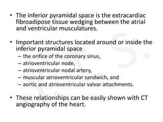 Triangle of koch | PPTX