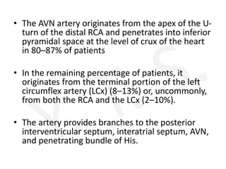 Triangle of koch | PPTX