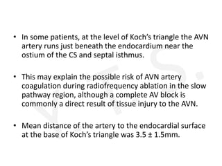 Triangle of koch | PPTX
