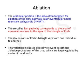 Triangle of koch | PPTX