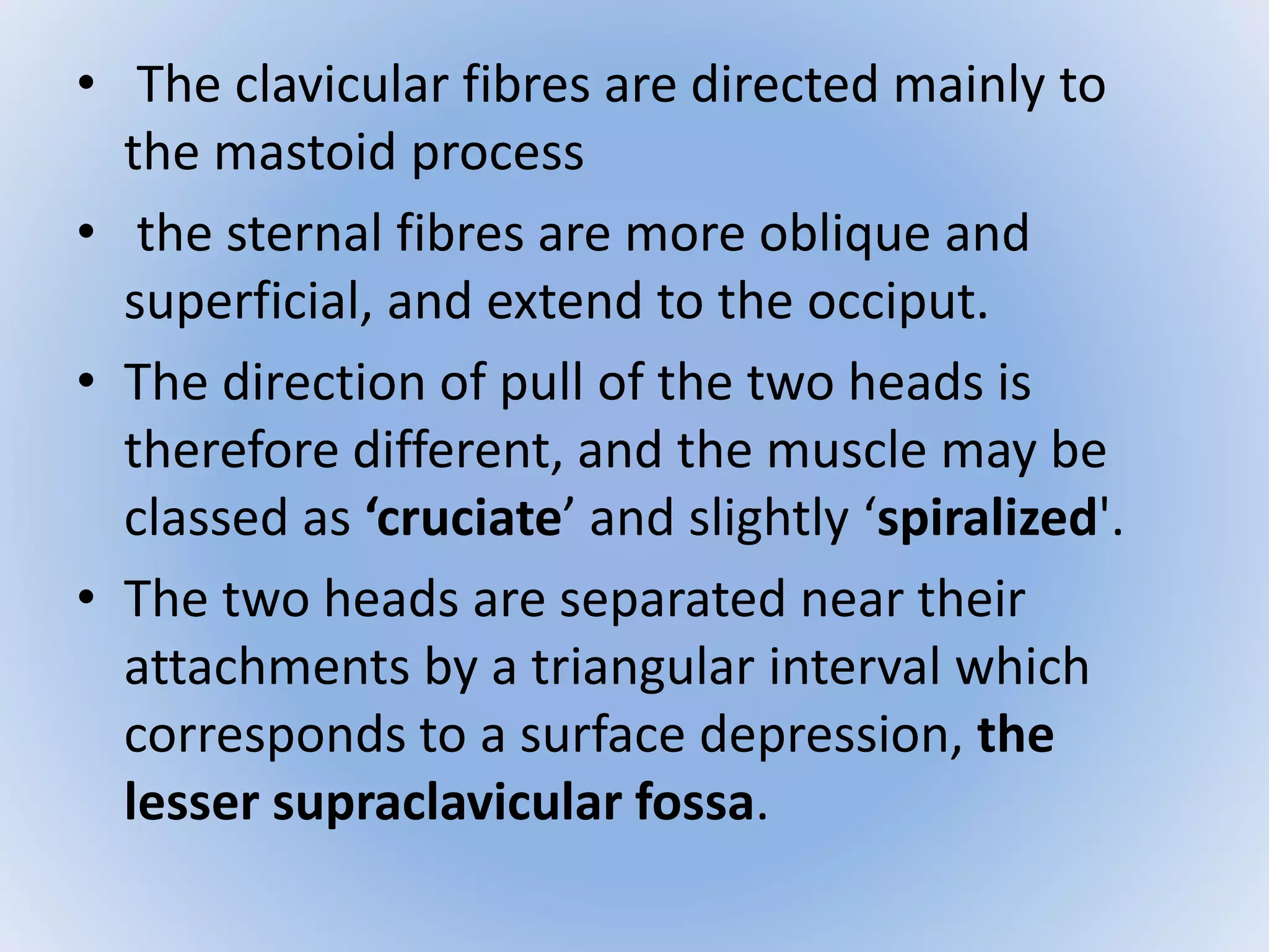 Triangle of neck | PPTX