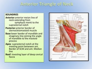 Triangle of neck | PPTX