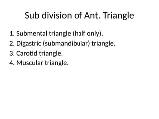 Triangle of the Neck....... FROM ANATOMY | PPTX