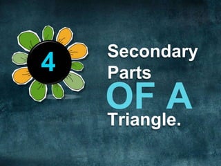 Triangles | PPTX | Geography | Science