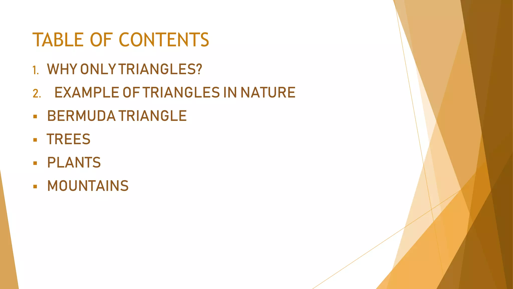 TRIANGLES IN THE NATURE.pptx
