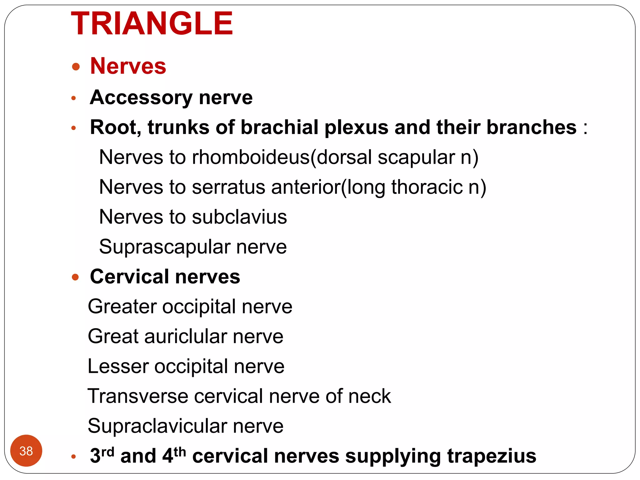 TRIANGLES OF NECK - BY DR. JUVERIA MAJEED MS ENT | PPTX