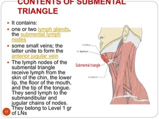 TRIANGLES OF NECK - BY DR. JUVERIA MAJEED MS ENT | PPTX