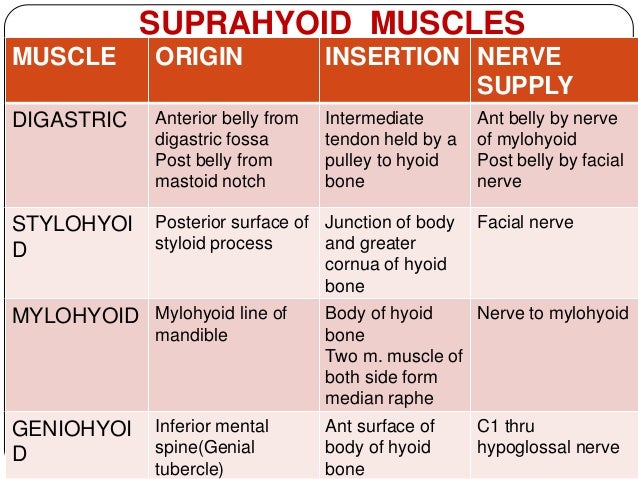 TRIANGLES OF NECK - BY DR. JUVERIA MAJEED MS ENT