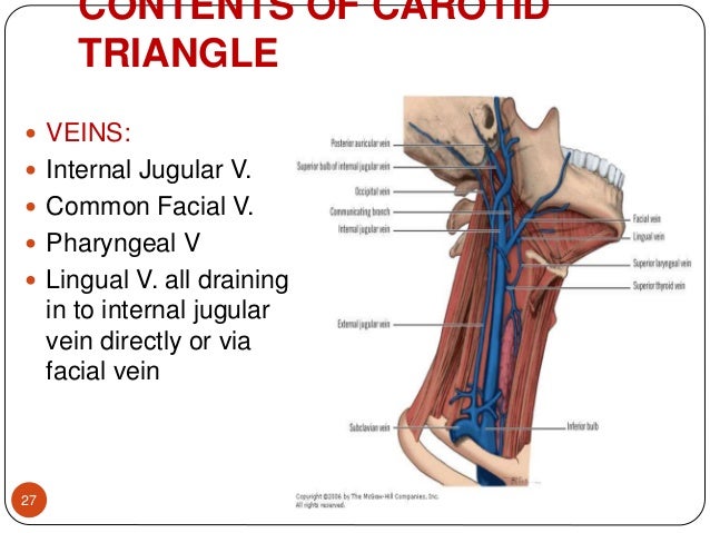 TRIANGLES OF NECK - BY DR. JUVERIA MAJEED MS ENT