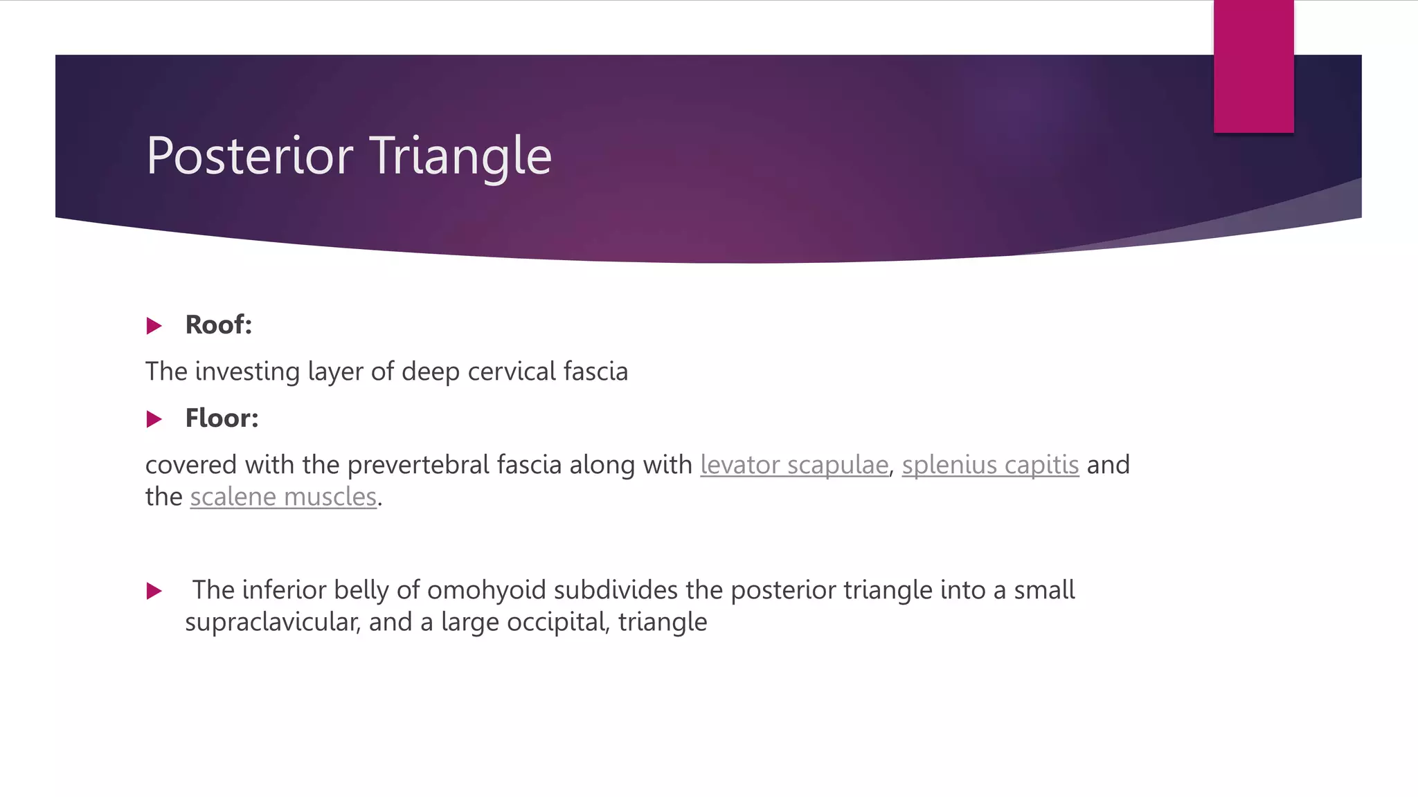 Triangles of Neck.pptx | Thyroid Disorders | Endocrine and Metabolic ...