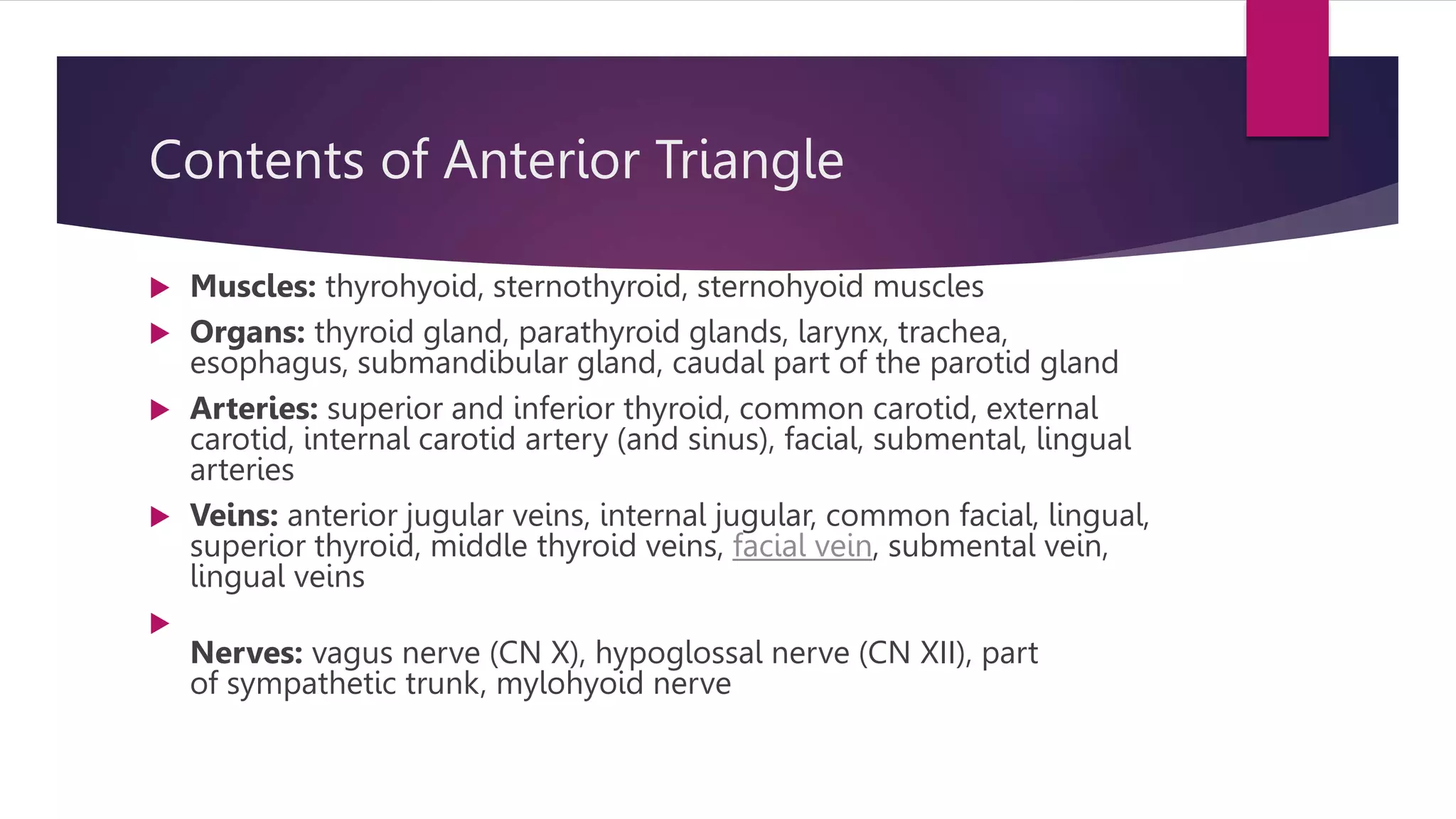 Triangles of Neck.pptx | Thyroid Disorders | Endocrine and Metabolic ...