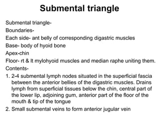 triangles of neck.ppt