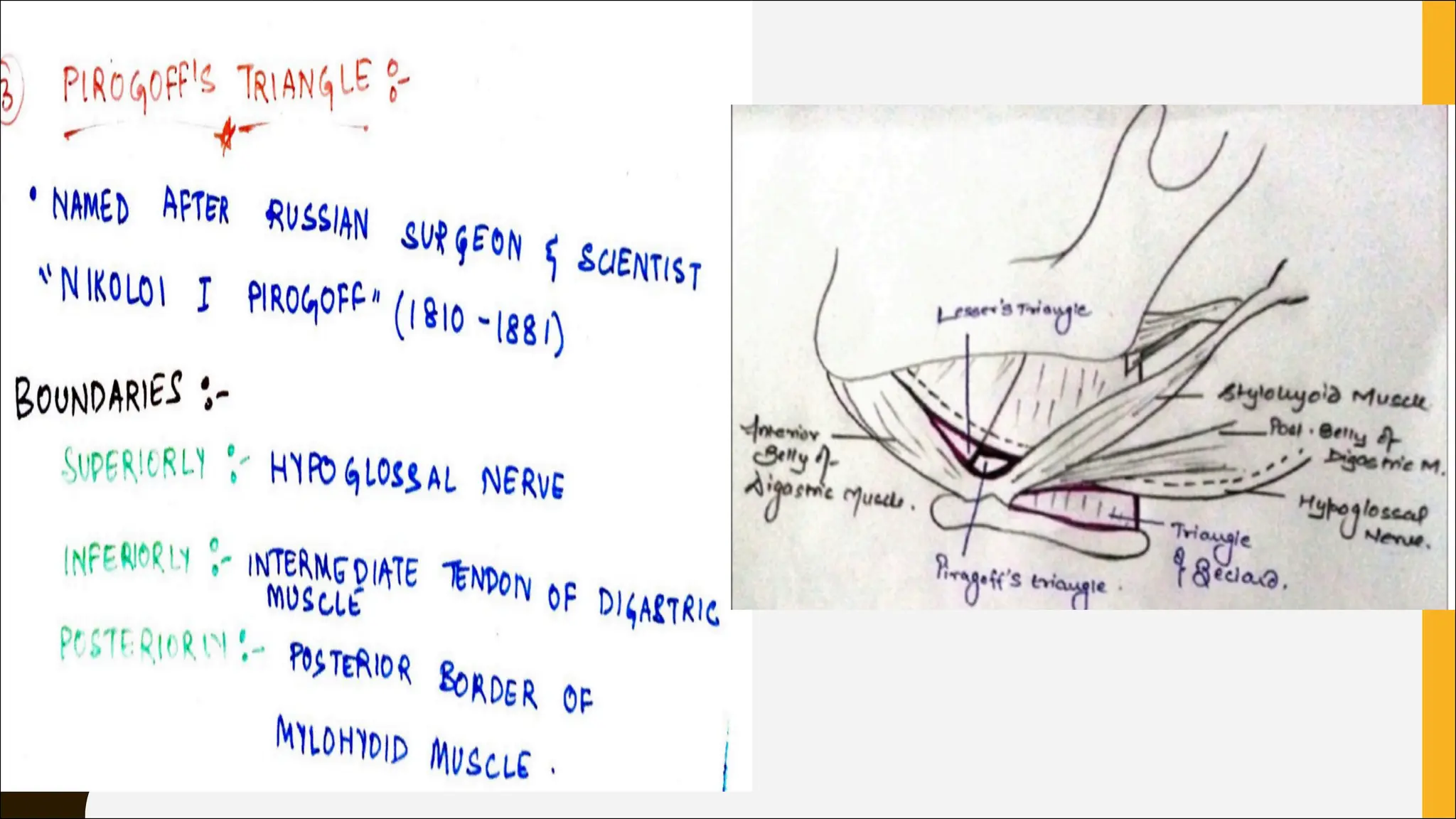Surgical anatomy of Triangles of neck omfs | PDF