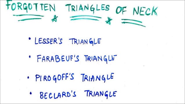 Surgical anatomy of Triangles of neck omfs | PDF | Heart and Cardiovascular Diseases | Diseases ...