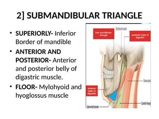 TRIANGLES OF NECK, ent , anatomy, basics.pptx