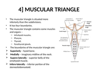 TRIANGLES OF NECK, ent , anatomy, basics.pptx