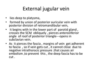 Triangles of neck (1) | PPT