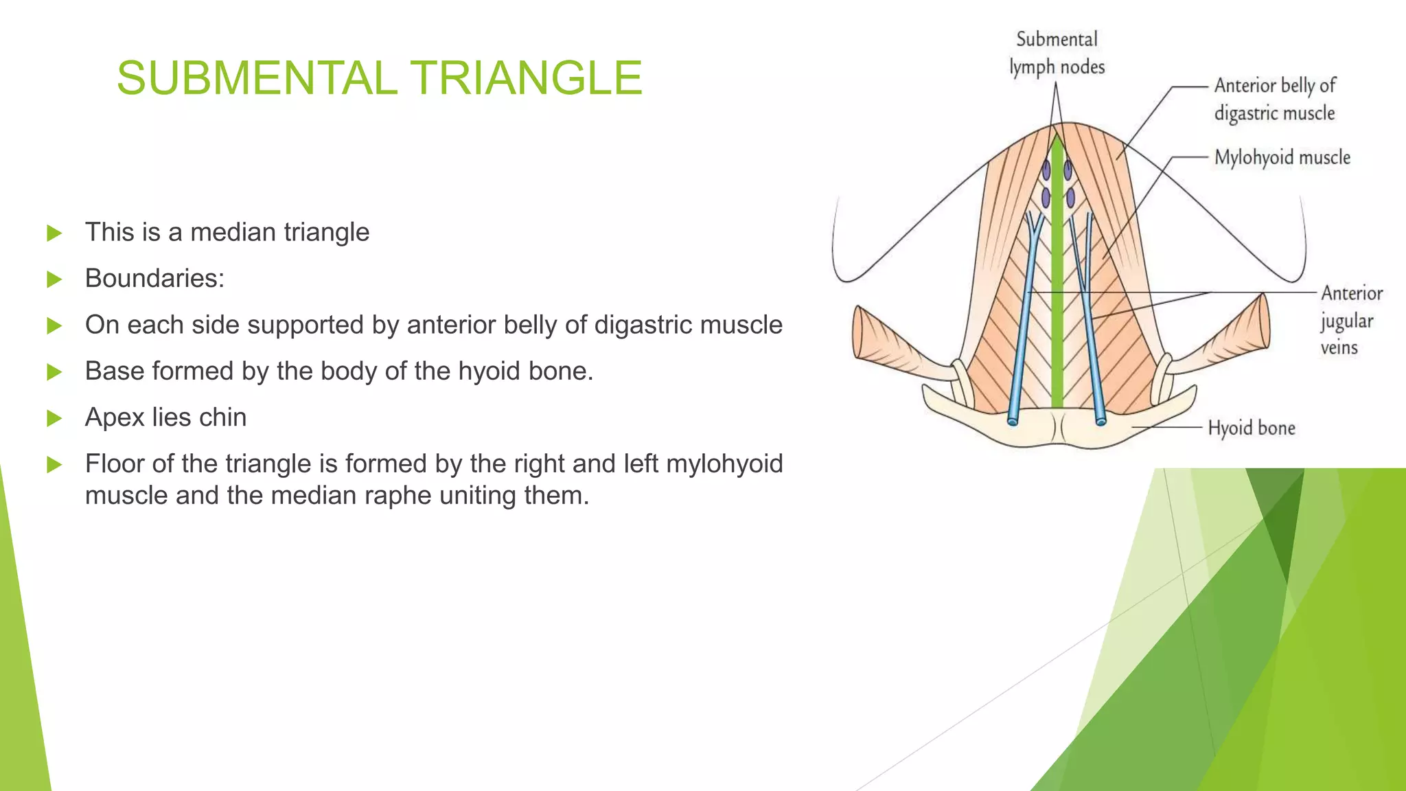 TRIANGLES OF NECK & APPLIED ANATOMY.pptx