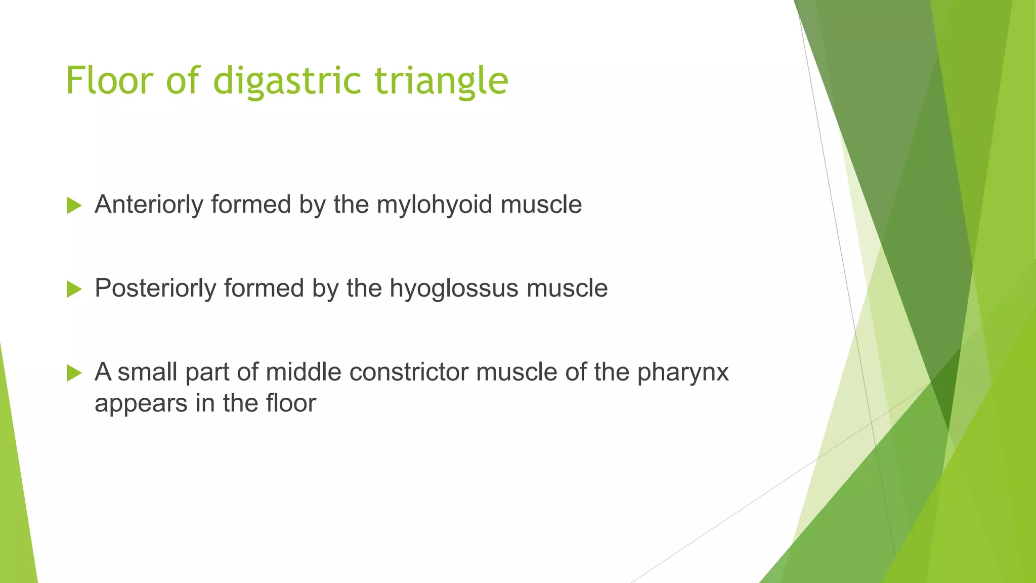TRIANGLES OF NECK & APPLIED ANATOMY.pptx