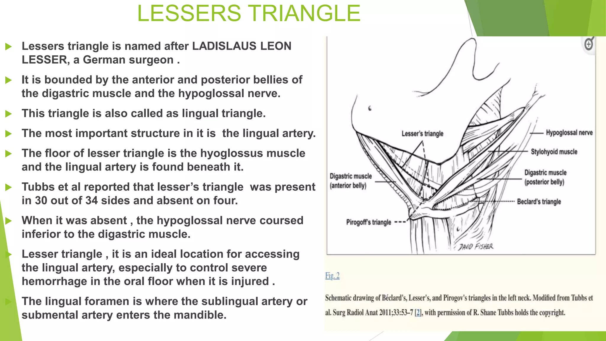 TRIANGLES OF NECK & APPLIED ANATOMY.pptx