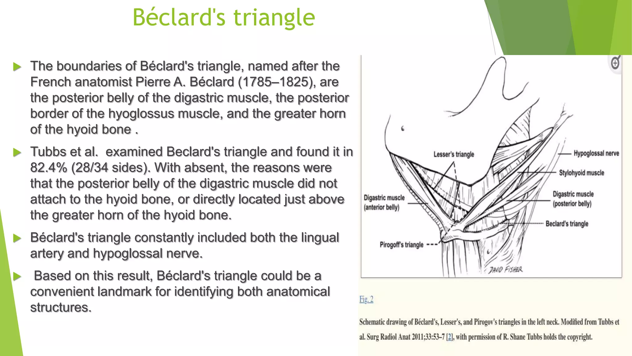 TRIANGLES OF NECK & APPLIED ANATOMY.pptx