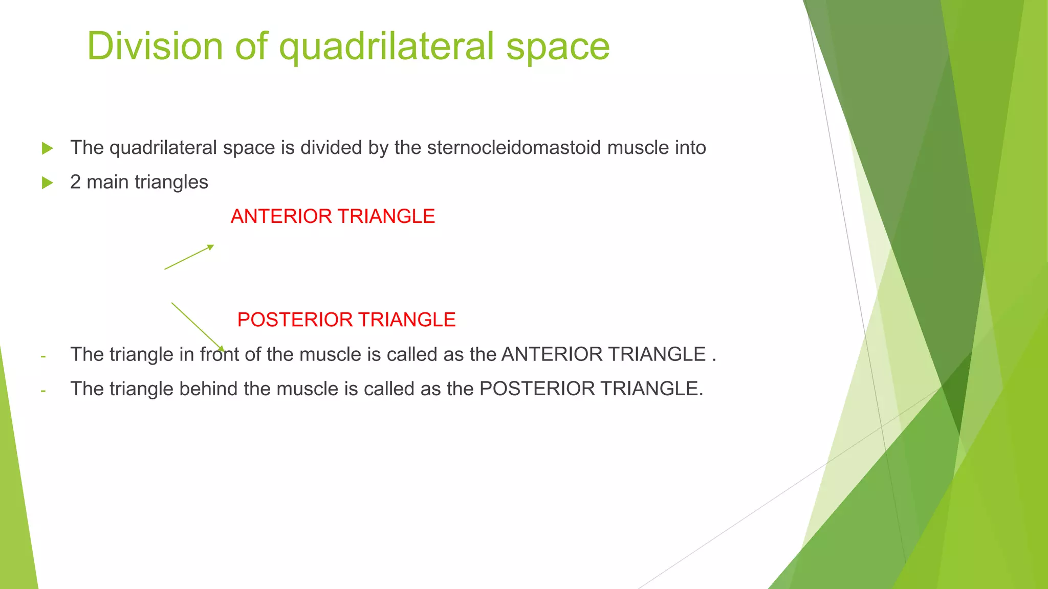 TRIANGLES OF NECK & APPLIED ANATOMY.pptx